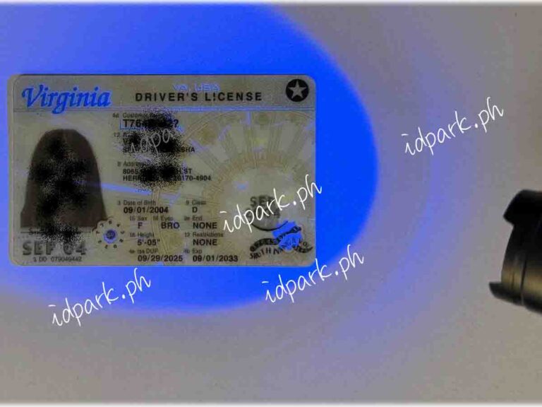Virginia Fake ID (New) - IDPark.ph
