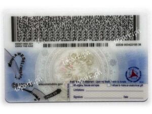 Wisconsin Fake ID (NEW) - IDPark.ph